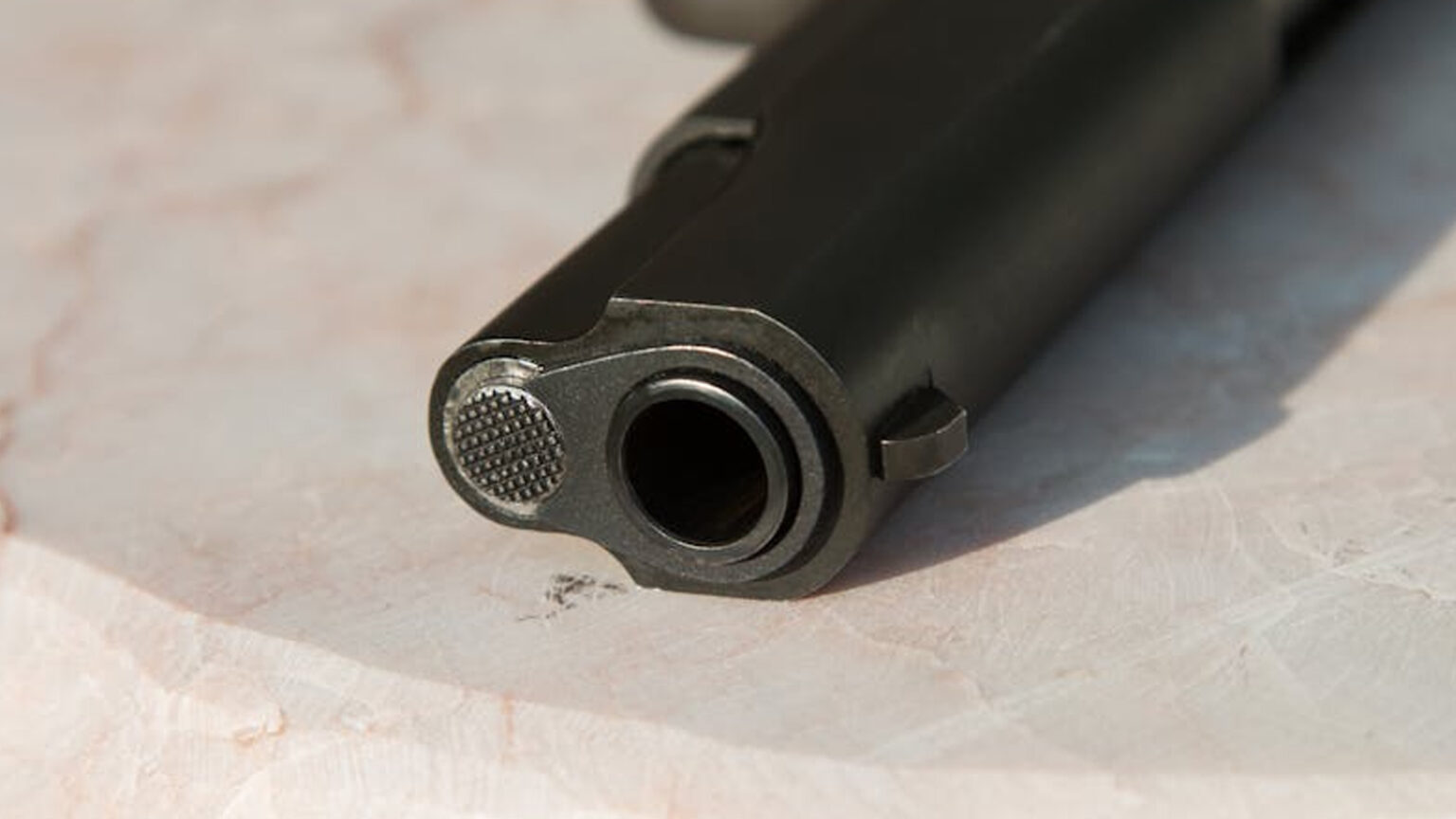 If You’re a Cop with a Gun, You Know Biological Organisms Cannot Be ...